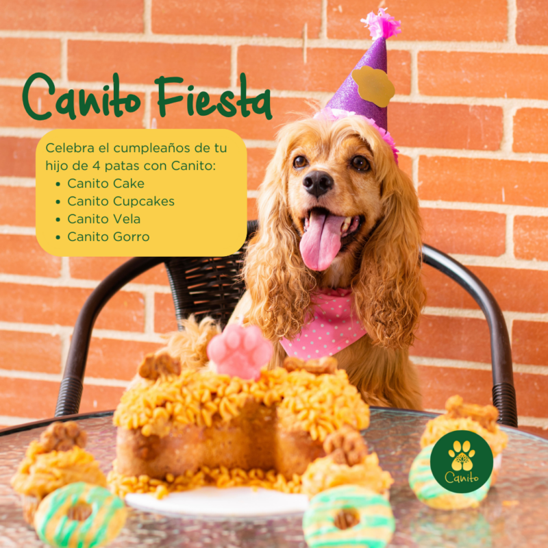 Fiesta - Canito