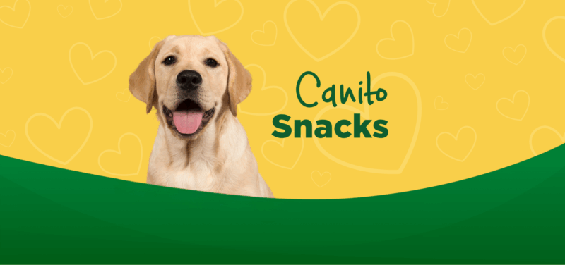Snacks - Canito